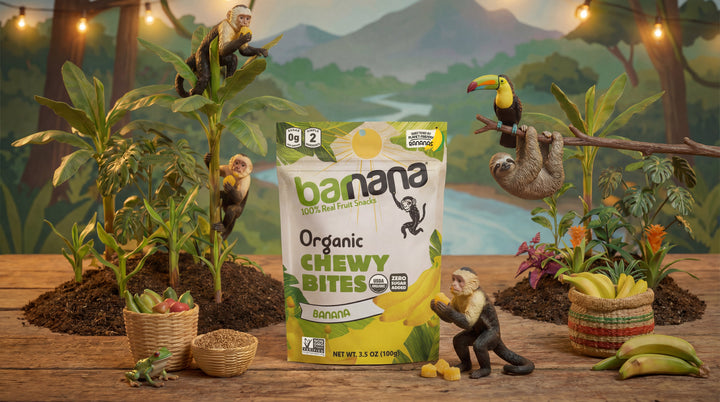 Collections – Barnana