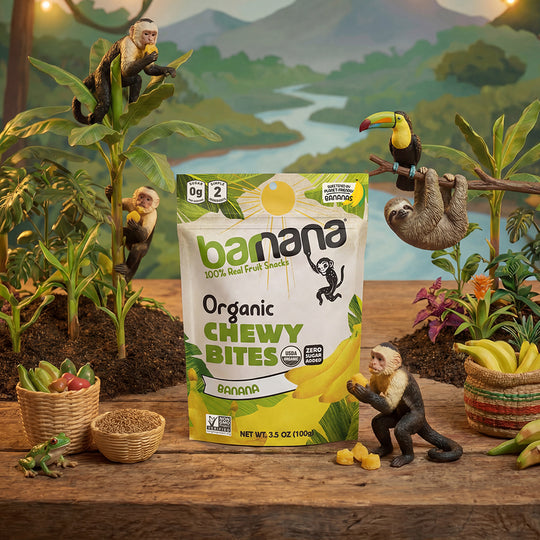 Organic Original Chewy Banana Bites | Barnana