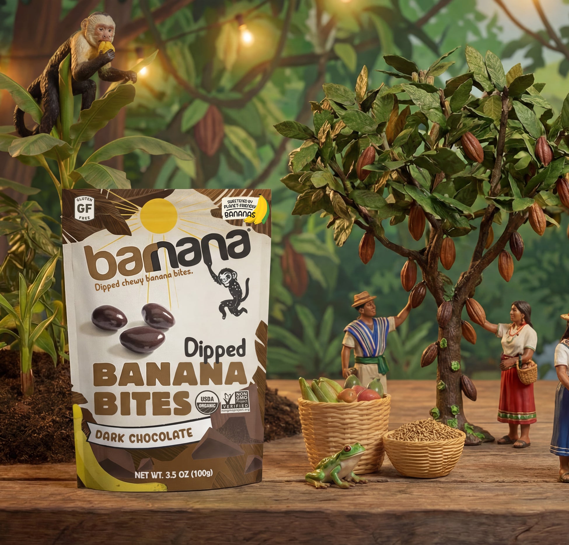 Organic Chocolate Chewy Banana Bites | Barnana