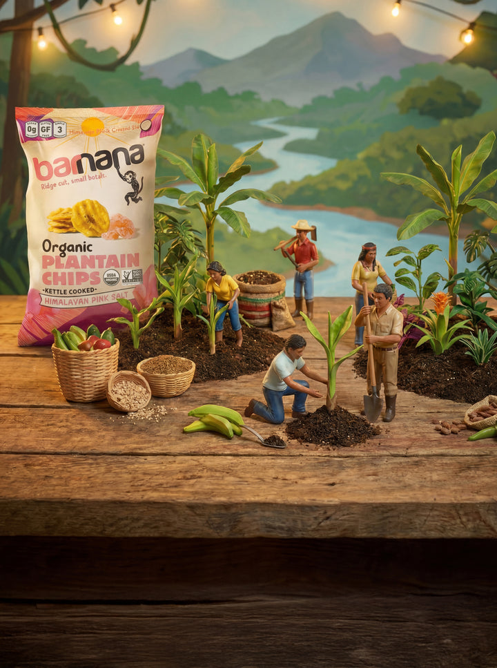 Barnana - Plantain Chips, Cassava Chips, Banana Bites